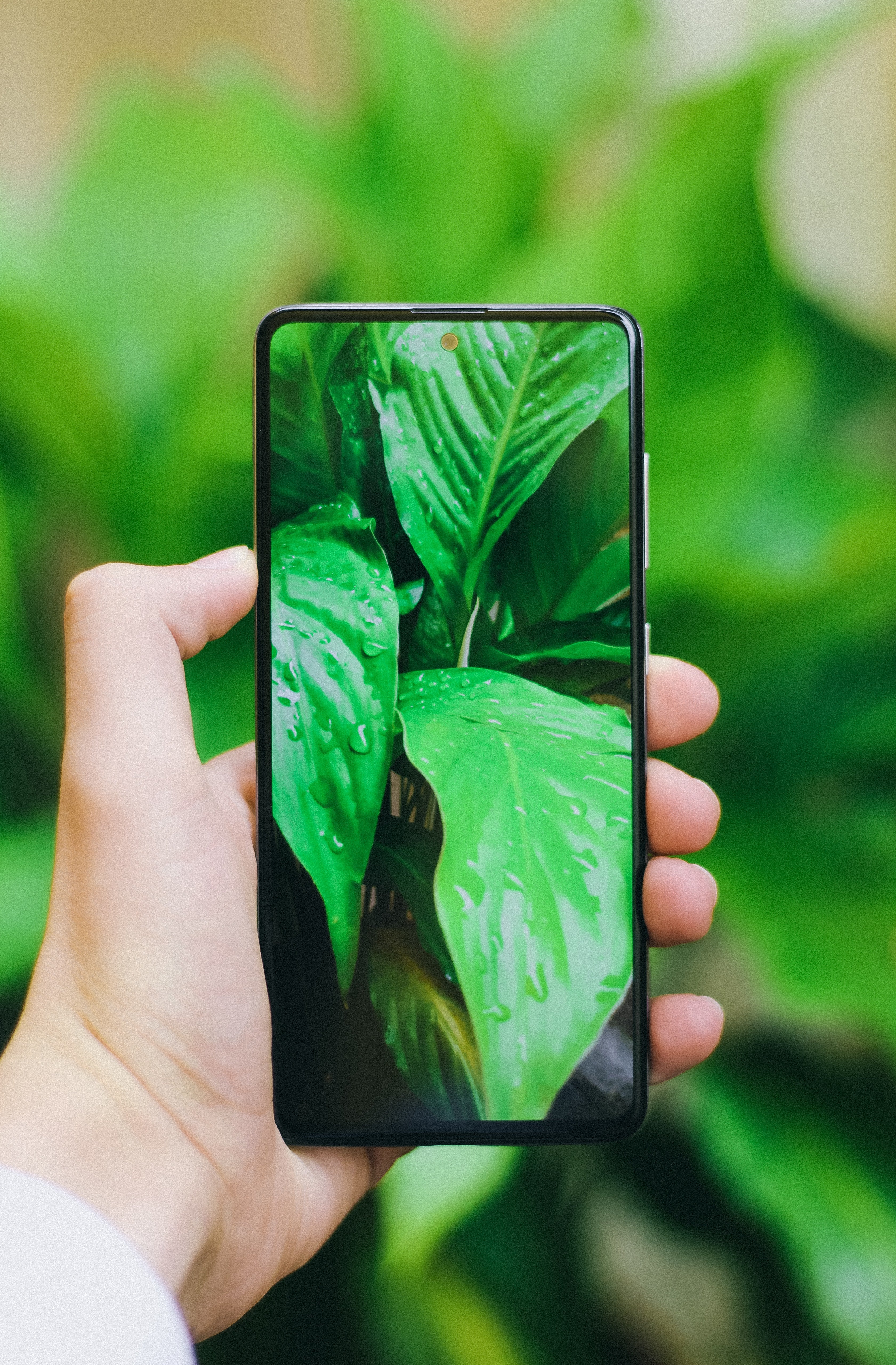 What to Look for in the Latest Smartphones of March – iRing.com